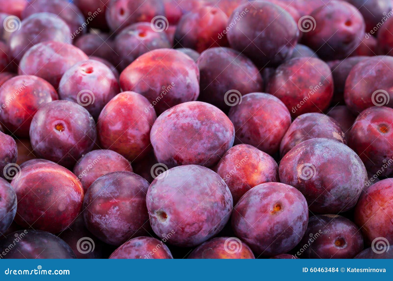 Fresh ripe red plums stock photo. Image of blackthorn - 60463484