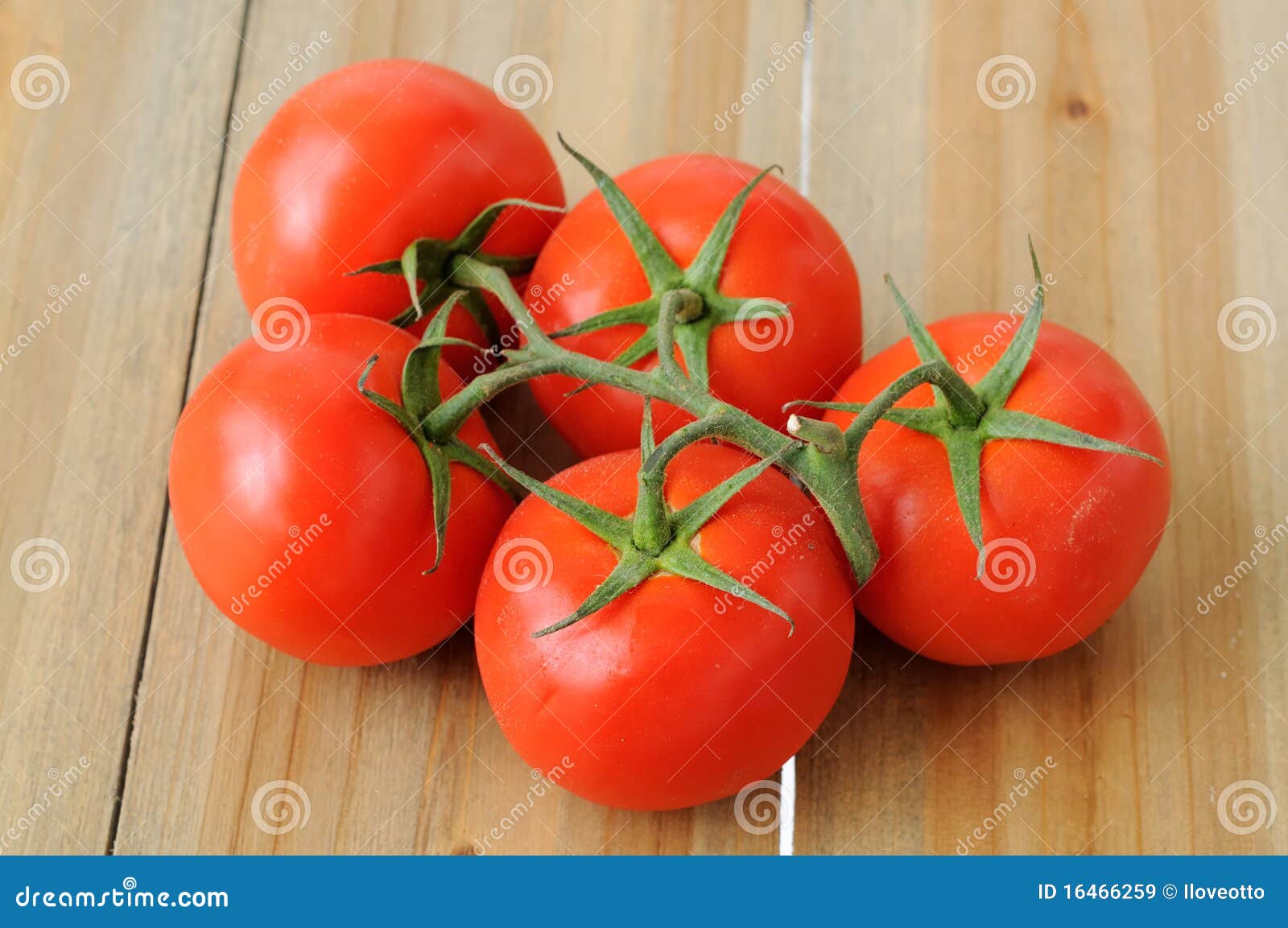 Fresh ripe red tomatoes stock image. Image of vitamin - 16466259