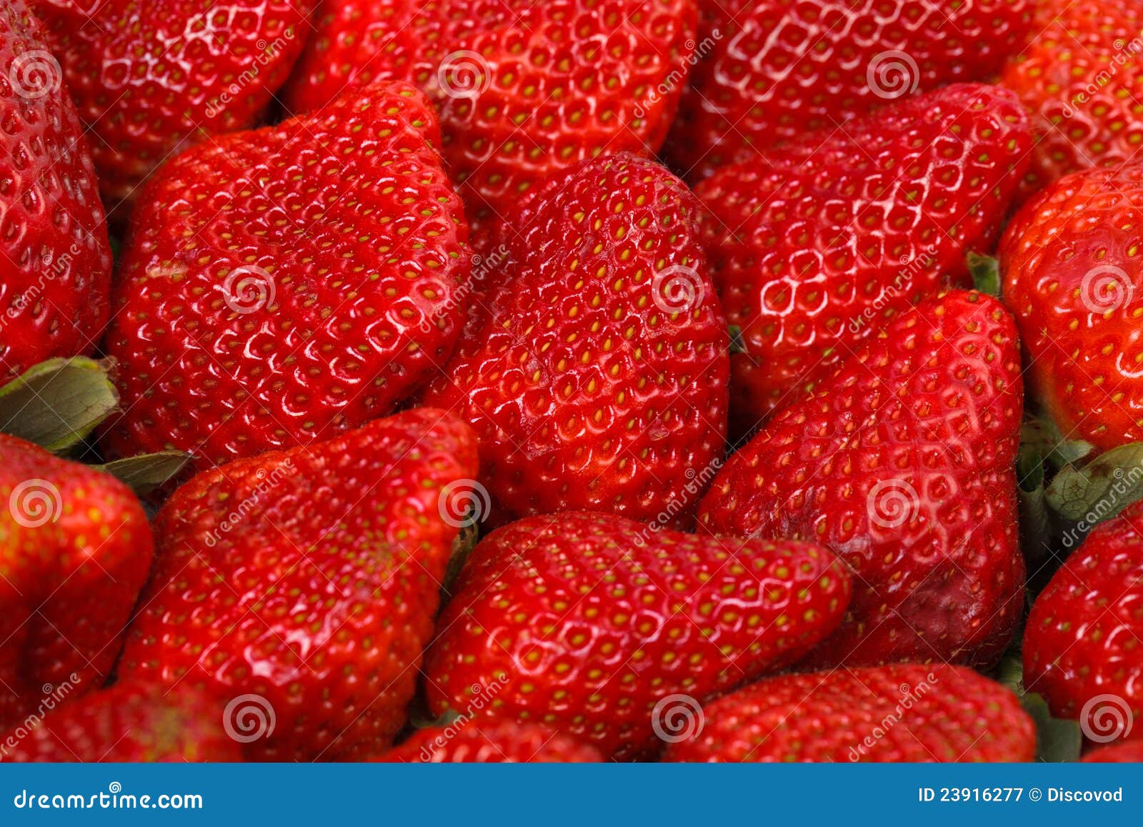 Fresh ripe strawberry stock image. Image of juicy, organic - 23916277