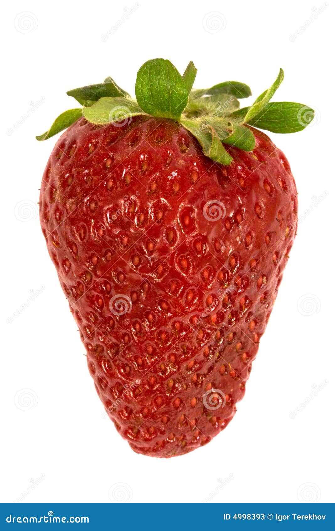 Fresh and ripe strawberry stock image. Image of natural - 4998393