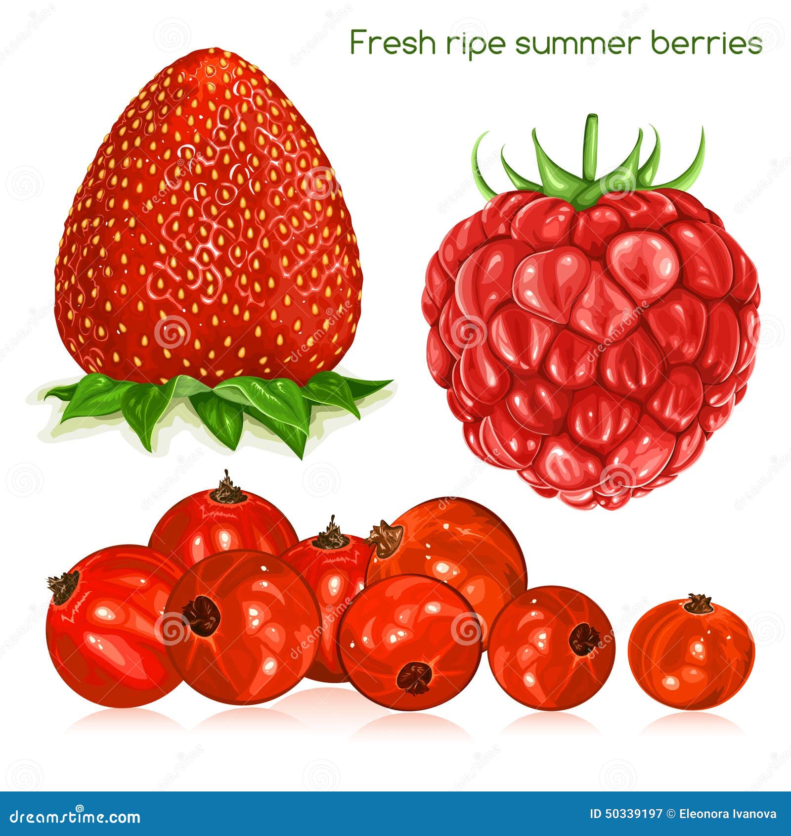 Fresh ripe summer berries. stock vector. Illustration of sweet - 50339197