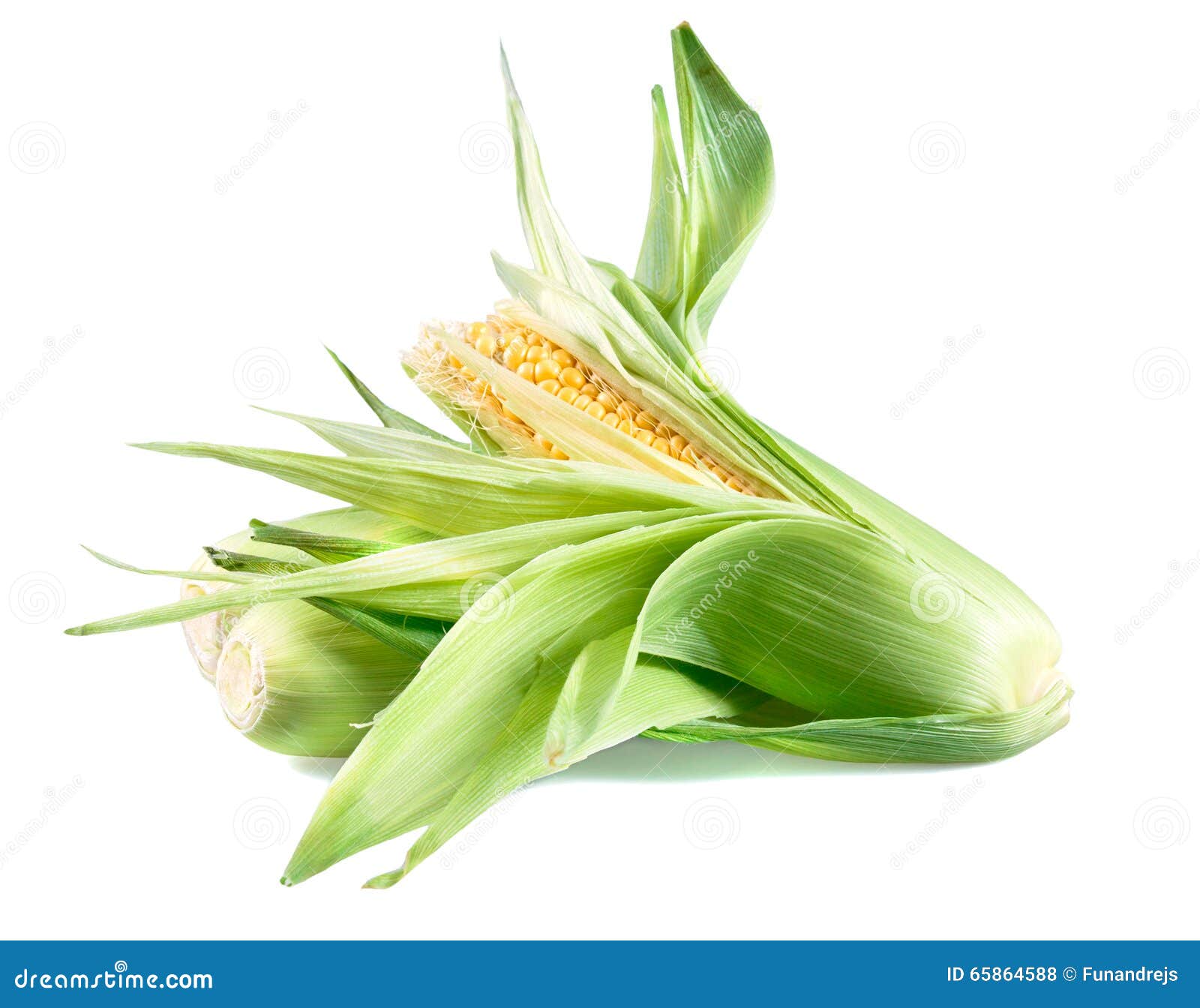 Fresh Ripe Sweetcorn Isolated on White Background Stock Photo - Image ...