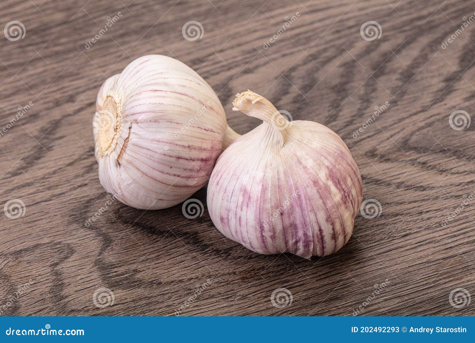 Fresh Ripe and Tasty Garlic Stock Image - Image of nature, ingredient ...