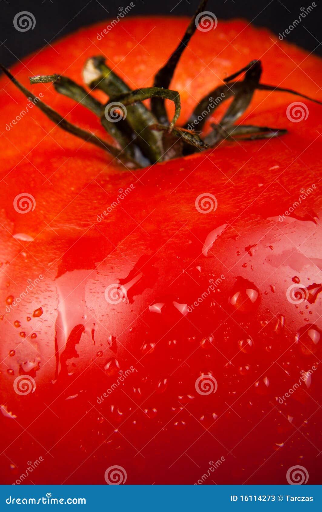Fresh ripe tomato on black stock image. Image of single - 16114273