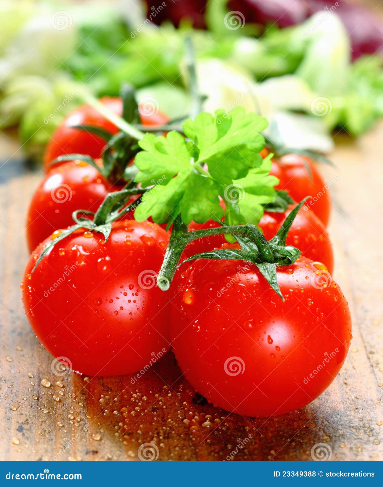 Fresh Ripe Tomatoes stock photo. Image of fresh, parsley - 23349388