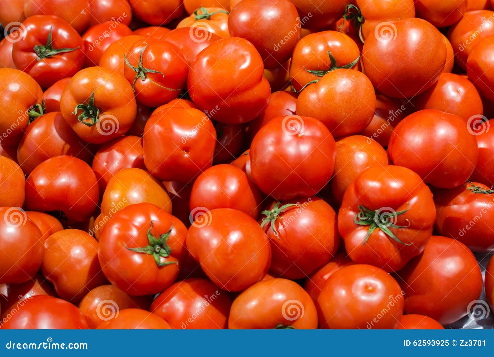 Fresh Ripe Tomatoes stock image. Image of fruits, agriculture - 62593925