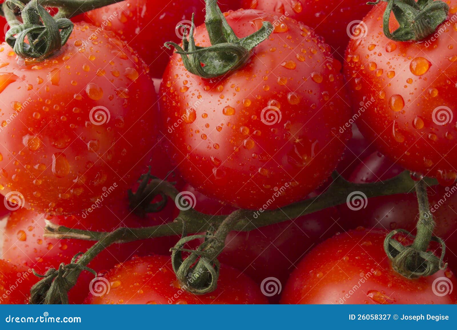 Fresh Ripe Tomatoes on the Vine Stock Image - Image of meal, nutrition ...