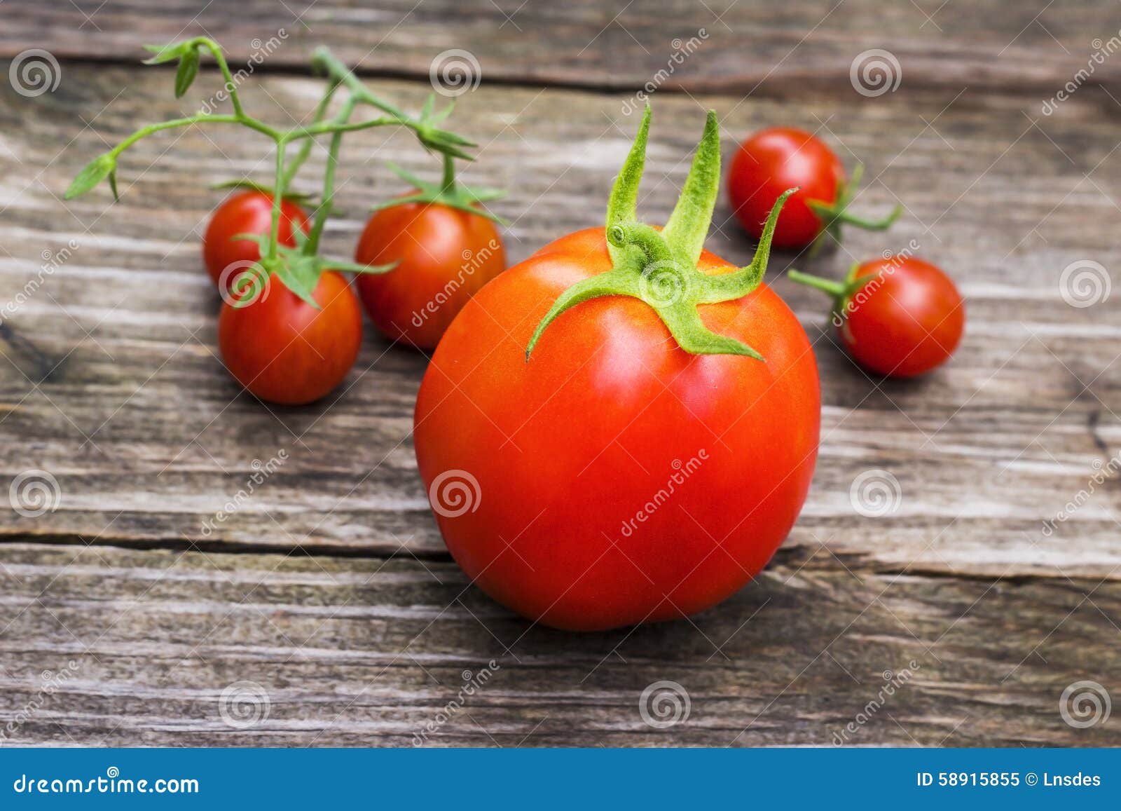 Fresh, Ripe Tomatoes on Wood Board Stock Image - Image of herb, healthy ...