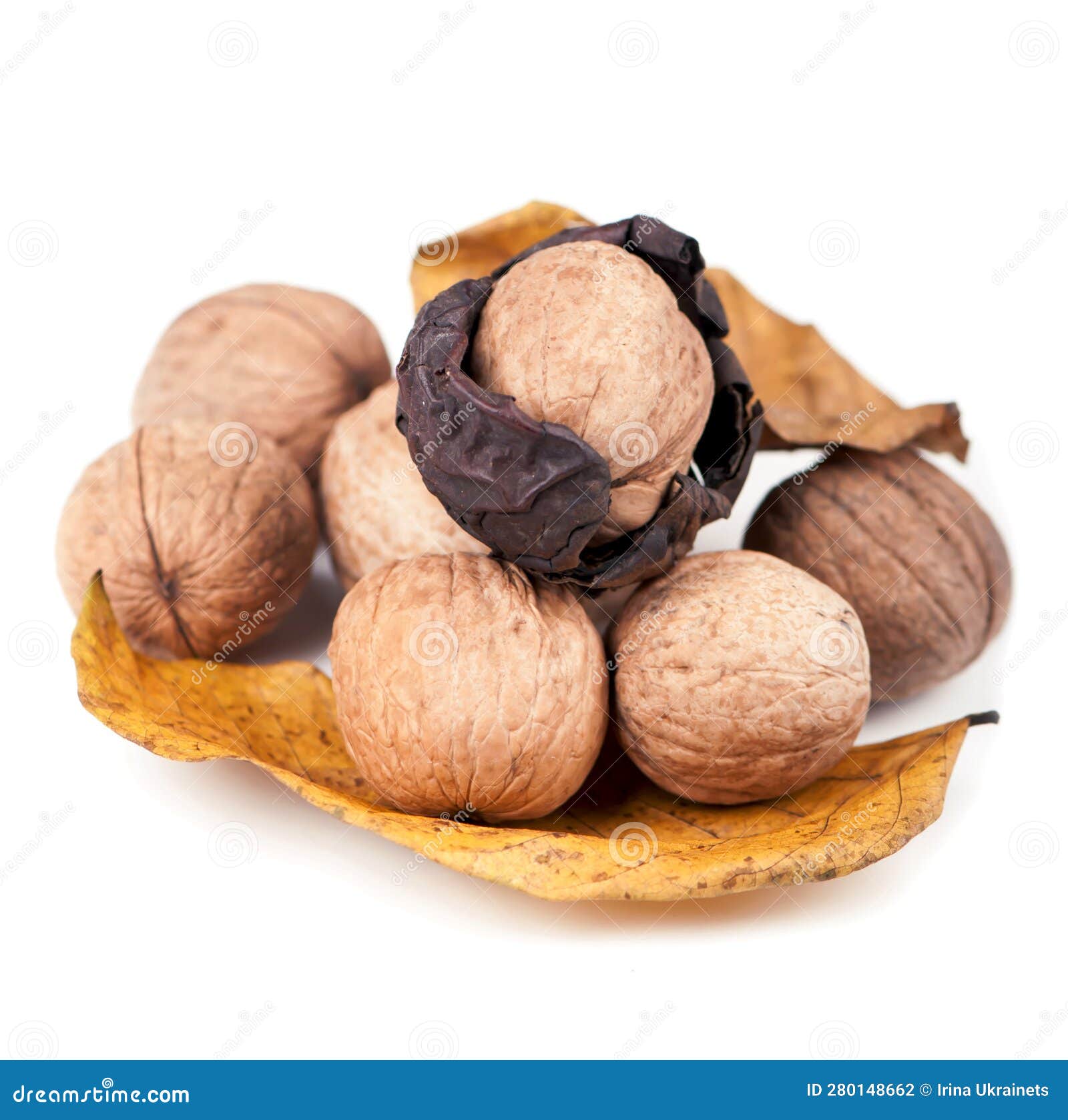 Fresh Ripe Walnut with Dried Leaves Isolated on a White Background ...
