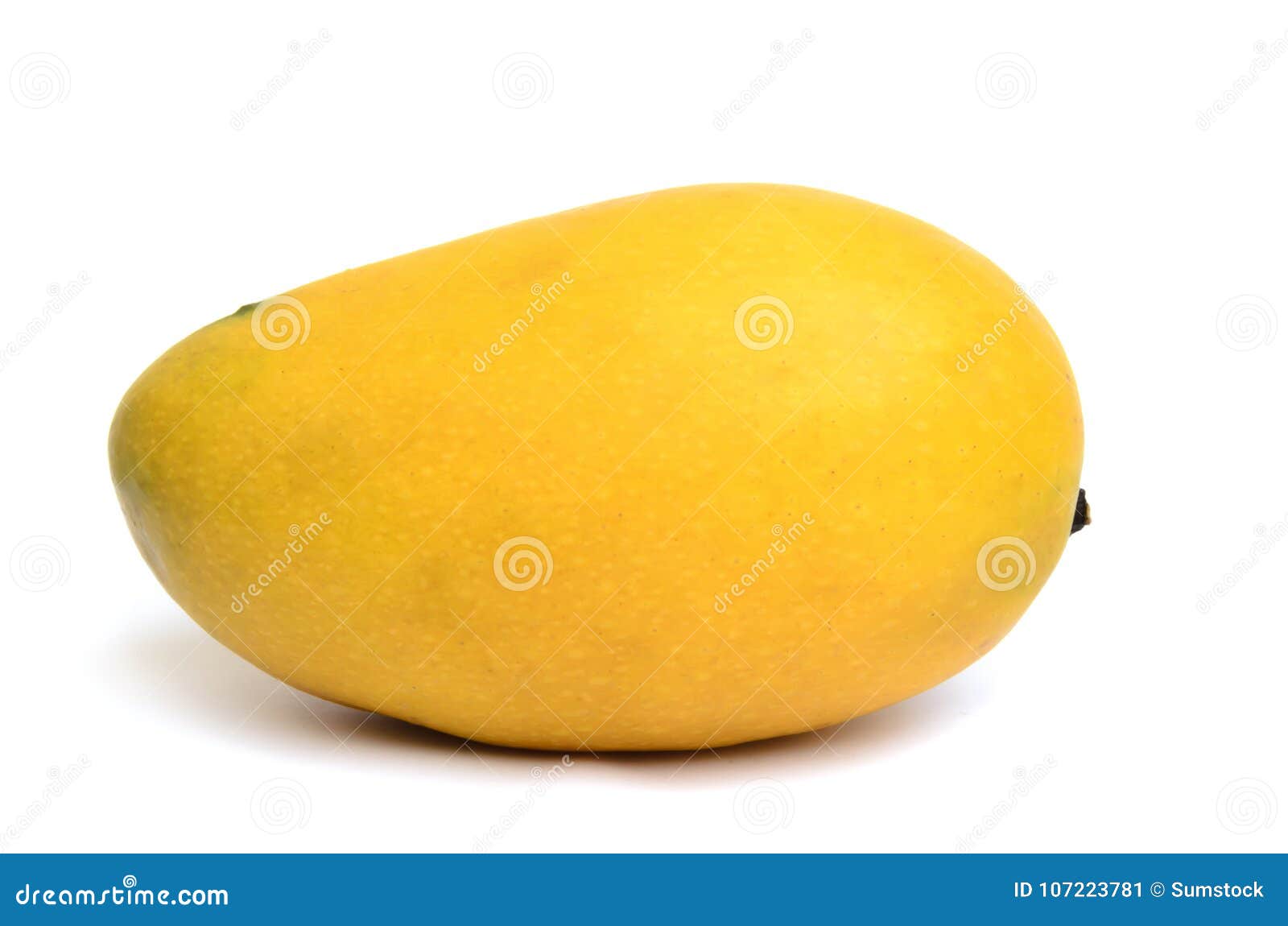 Fresh Ripened Yellow Mango on White Background Stock Image - Image of ...