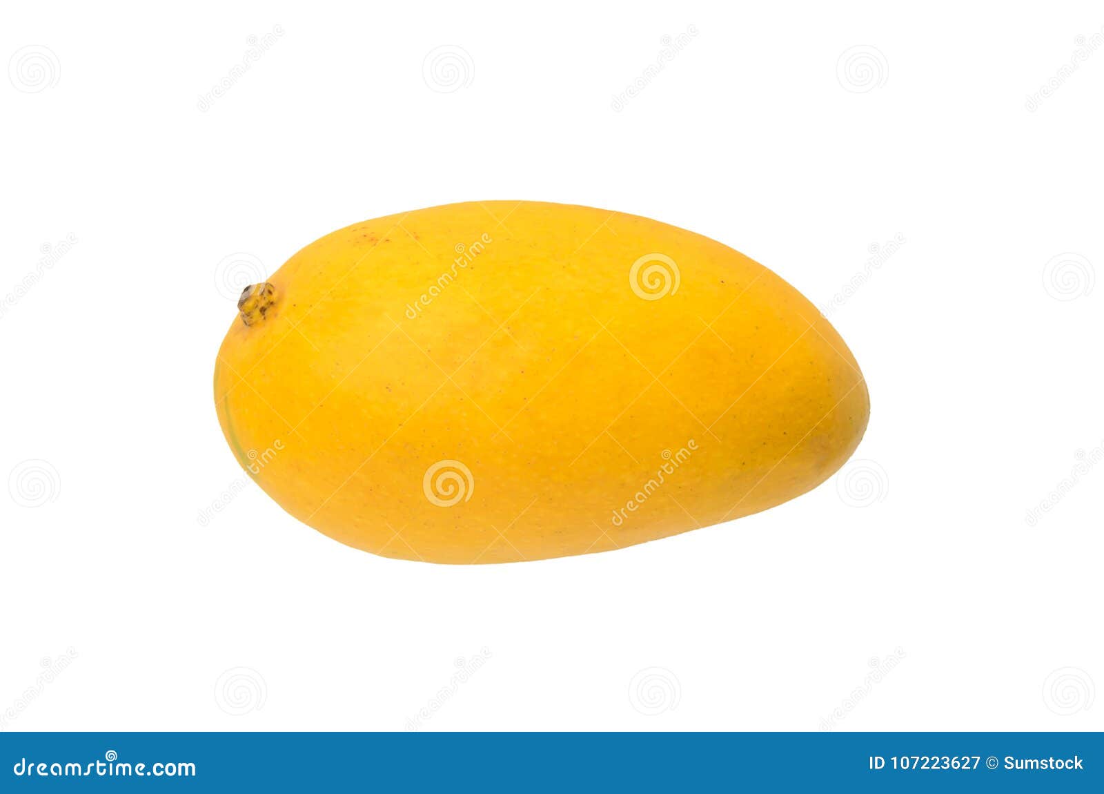 Fresh Ripened Yellow Mango on White Background Stock Image - Image of ...