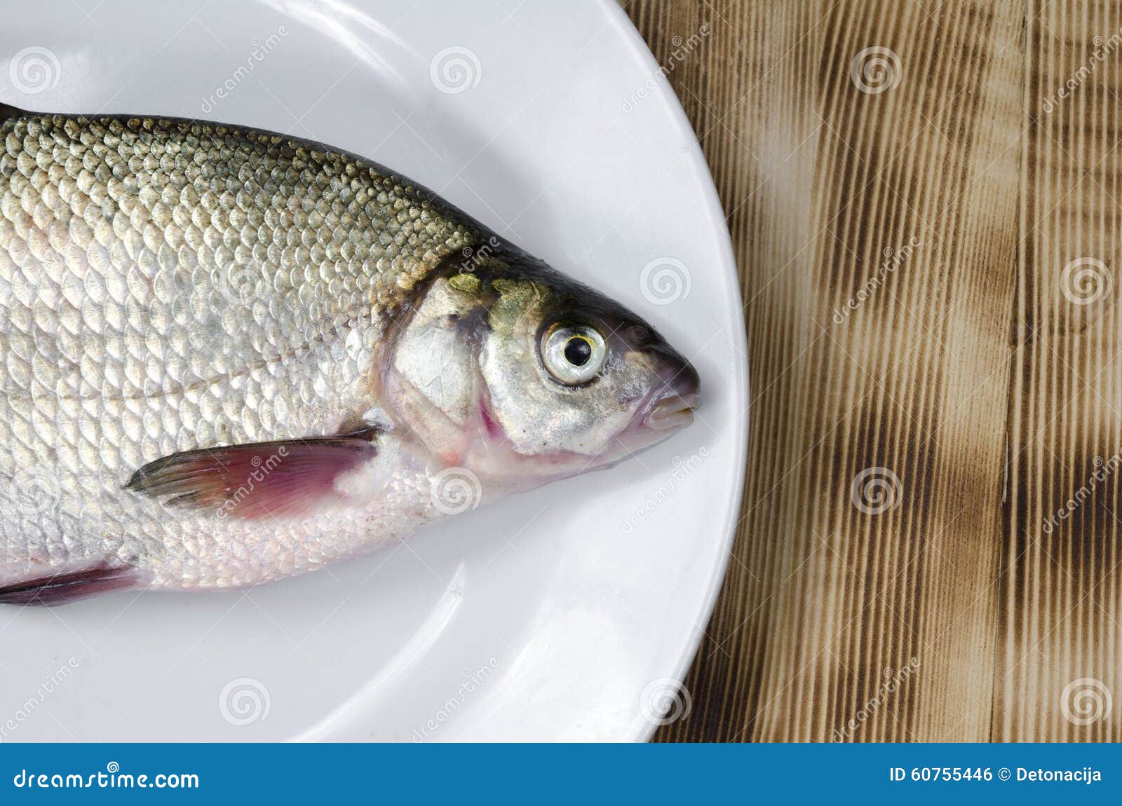 Fresh river bream stock photo. Image of european, silver - 60755446