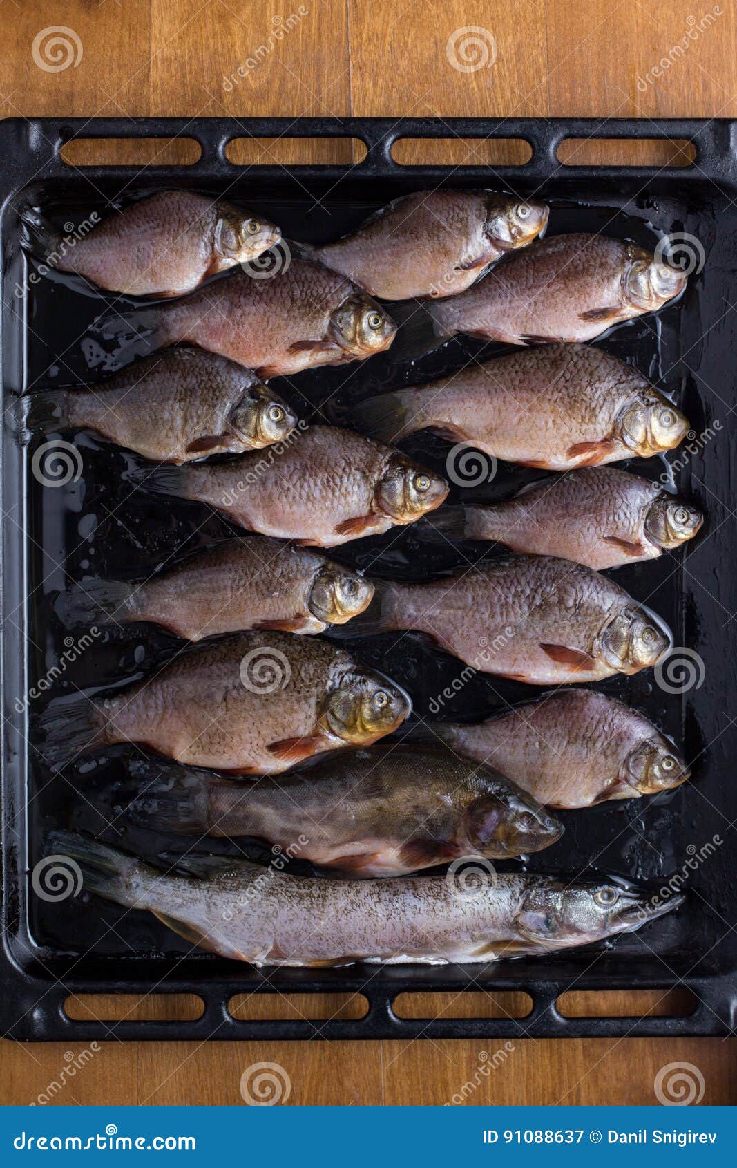 Fresh river fish stock image. Image of preparation, background - 91088637