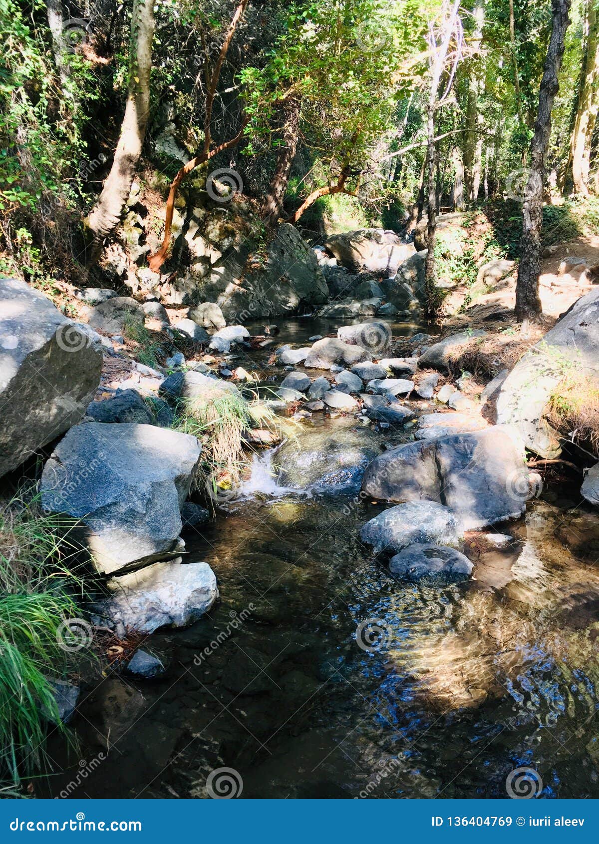 River stock image. Image of forest, water, fresh, flow - 136404769
