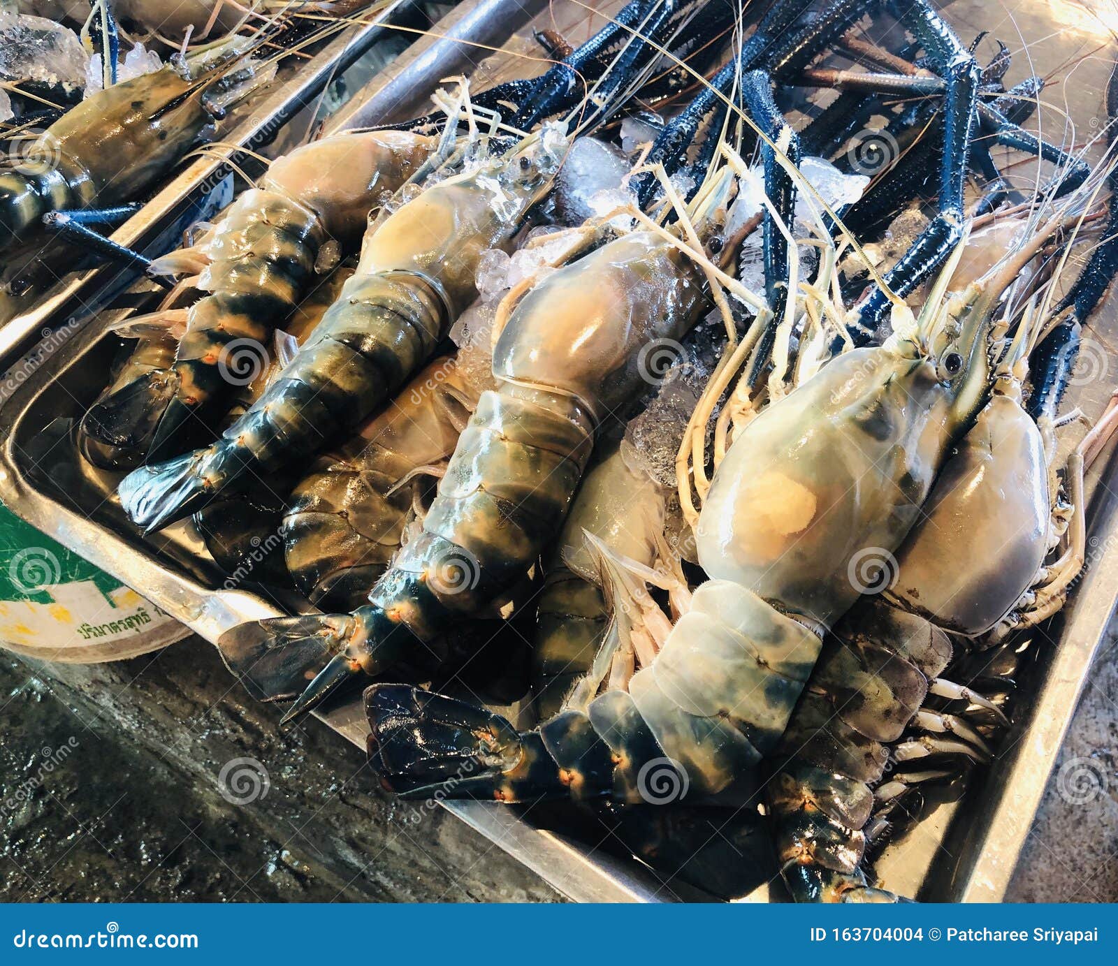 Fresh River Prawn at Market Stock Photo - Image of full, wallpaper ...