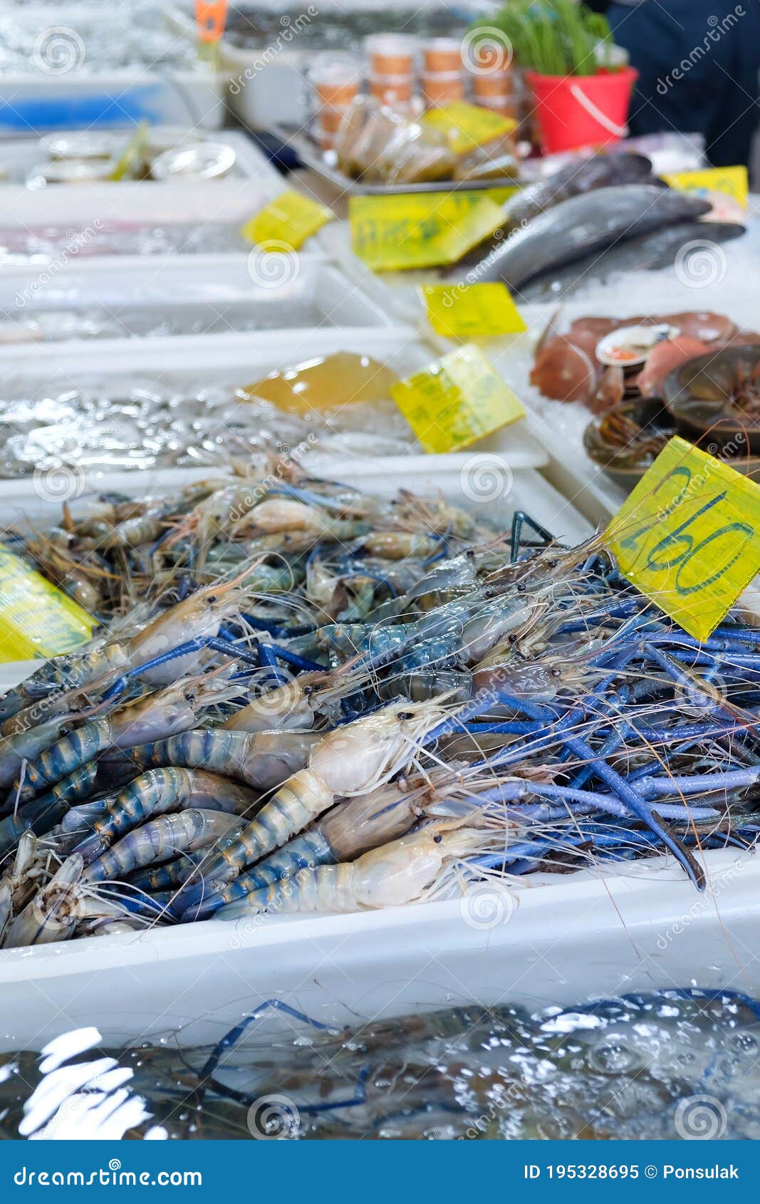 Fresh River Shrimp in Seafood Market Stock Image - Image of background ...