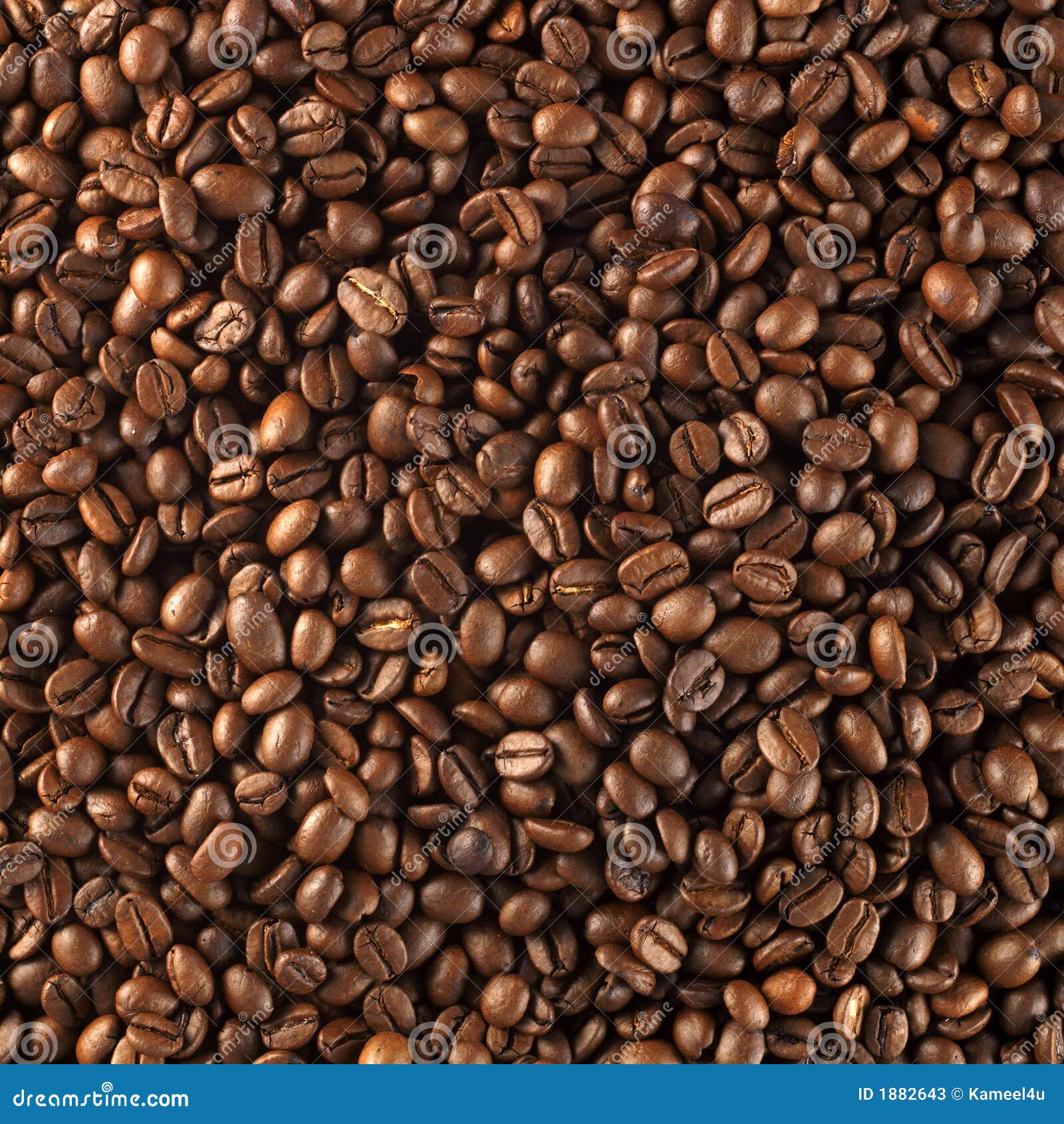 Fresh roasted coffee beans stock image. Image of columbia - 1882643 Fresh roasted coffee beans stock image. Image of columbia - 1882643
