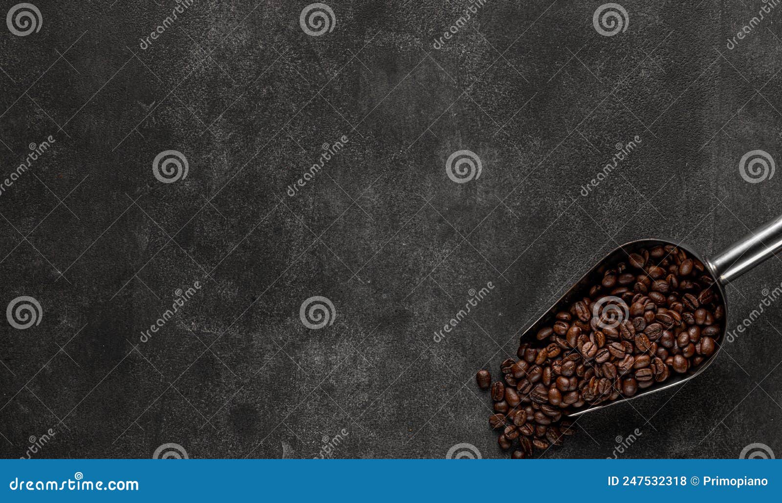 Fresh Roasted Coffee Beans in Metal Spatula Stock Photo - Image of ...
