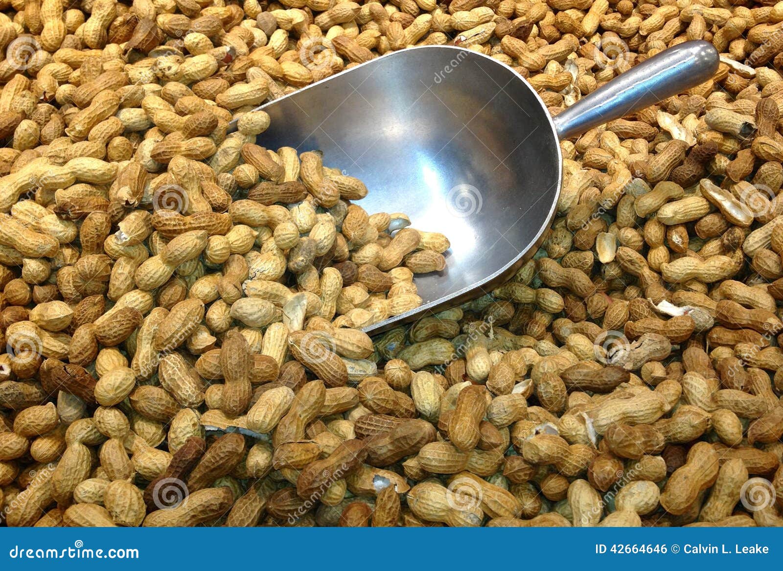 Fresh Roasted Peanuts stock photo. Image of market, roasted - 42664646