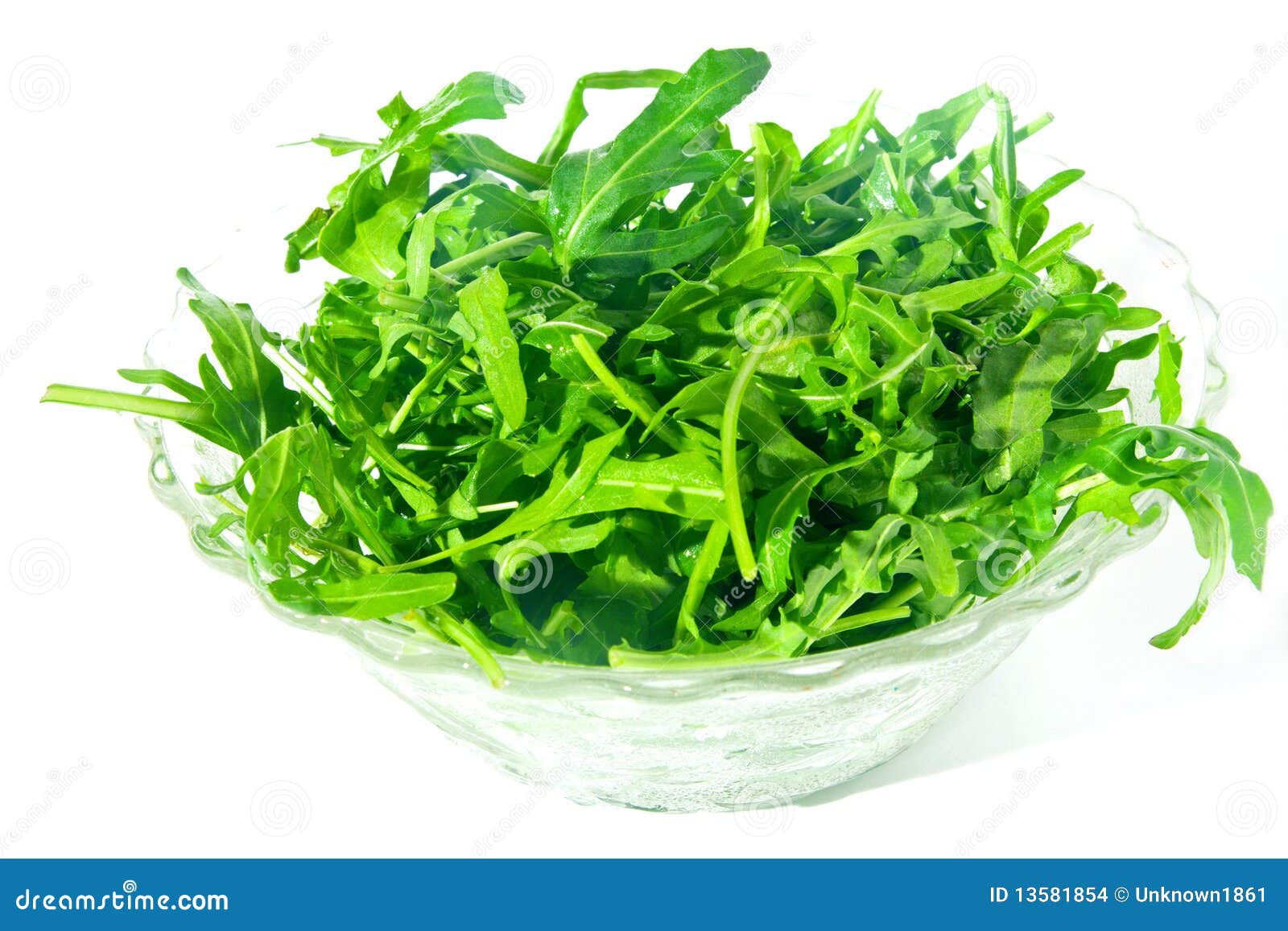 Fresh rocket stock photo. Image of salad, food, healthy - 13581854