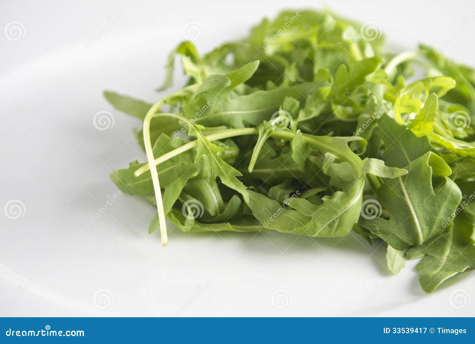 Fresh rocket stock image. Image of leaves, meal, fresh - 33539417