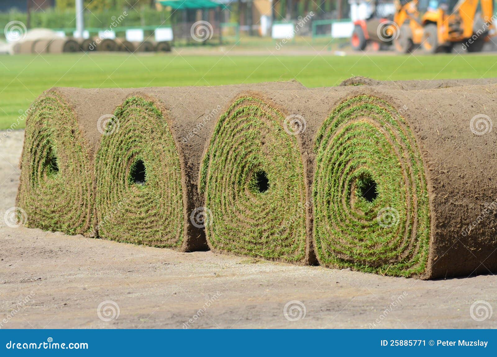 Fresh rolled-up grass turf stock image. Image of earth - 25885771