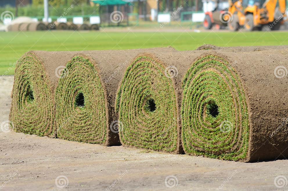 Fresh rolled-up grass turf stock image. Image of growing - 25885771
