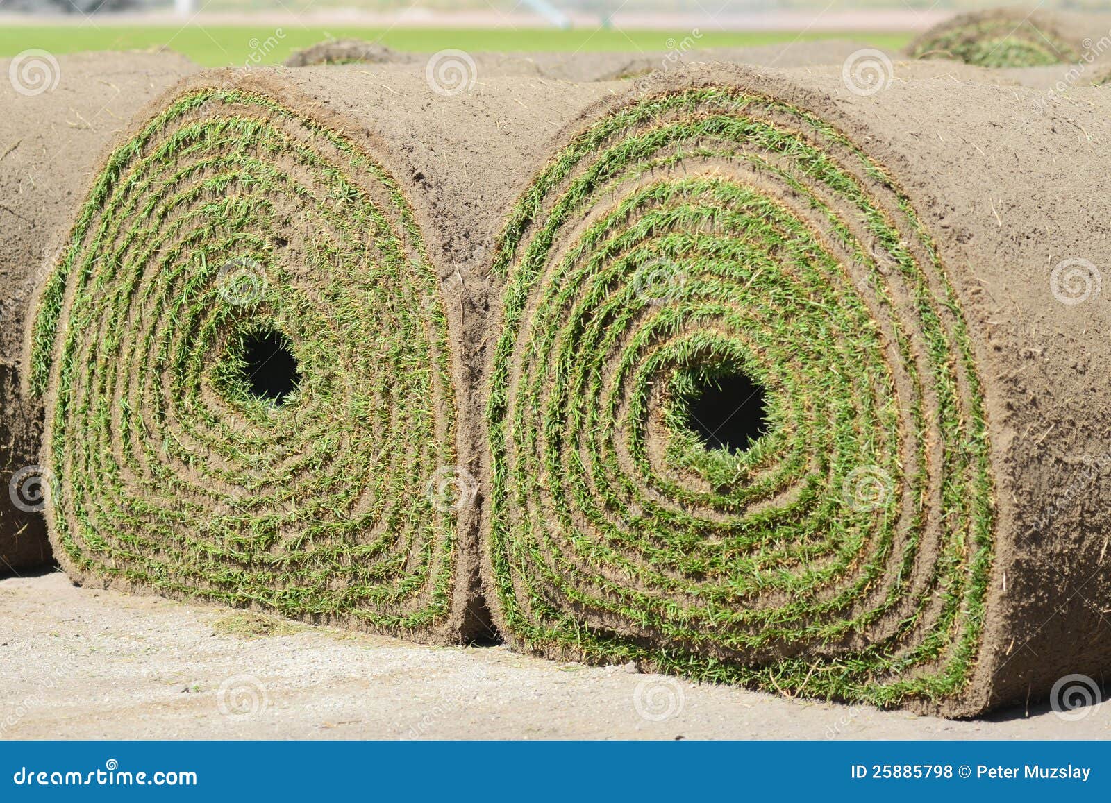 Fresh rolled-up grass turf stock photo. Image of garden - 25885798