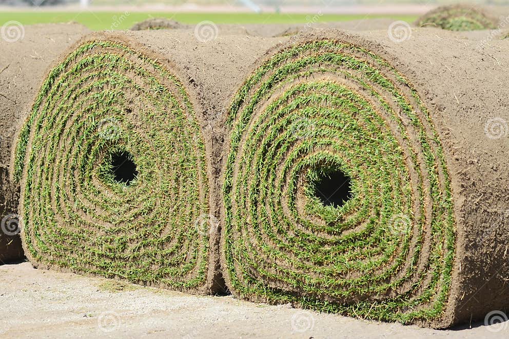 Fresh rolled-up grass turf stock photo. Image of garden - 25885798
