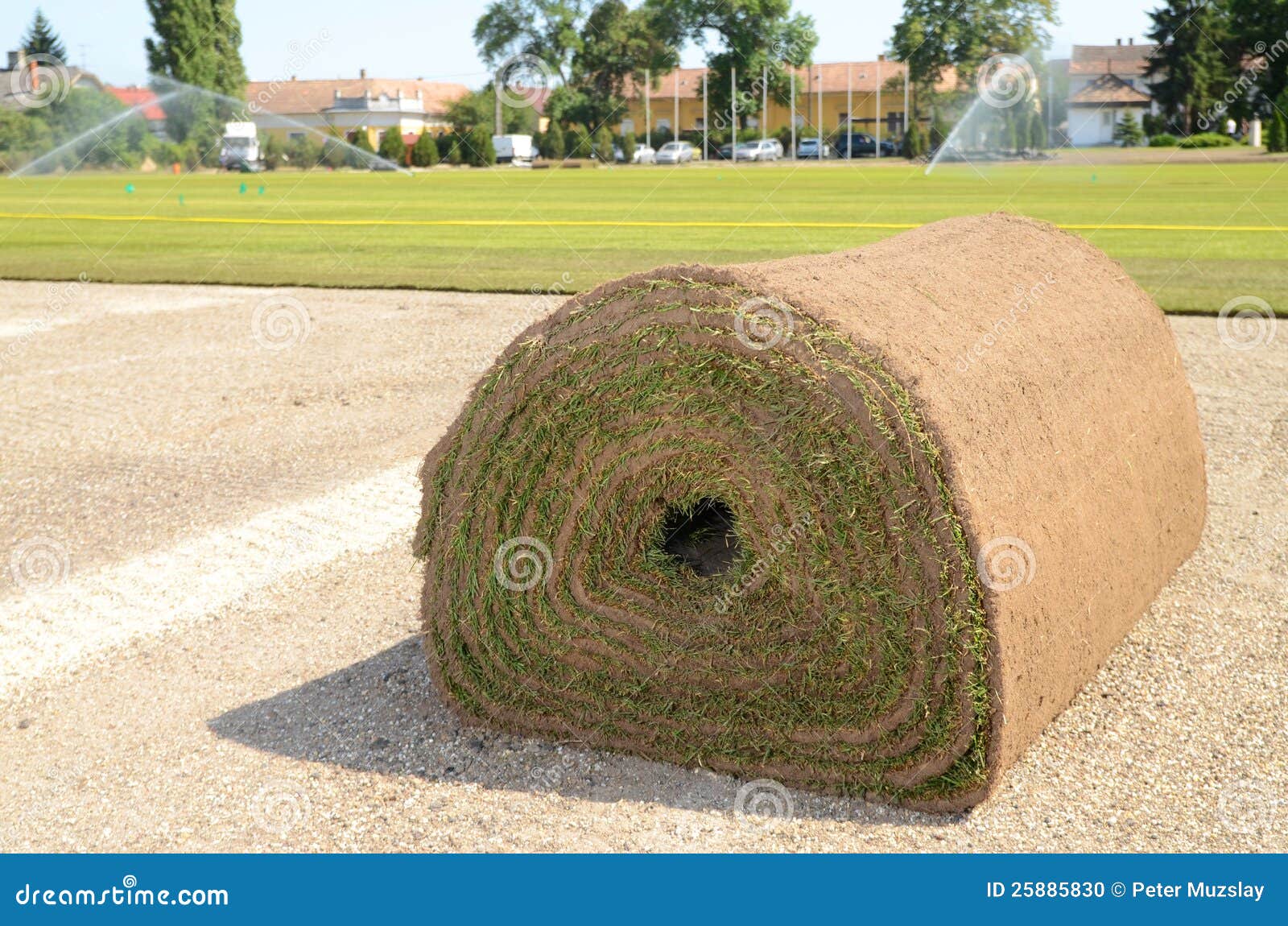 A Grass Turf On The Sandy Valley Floor With Many Footprints In It In ...