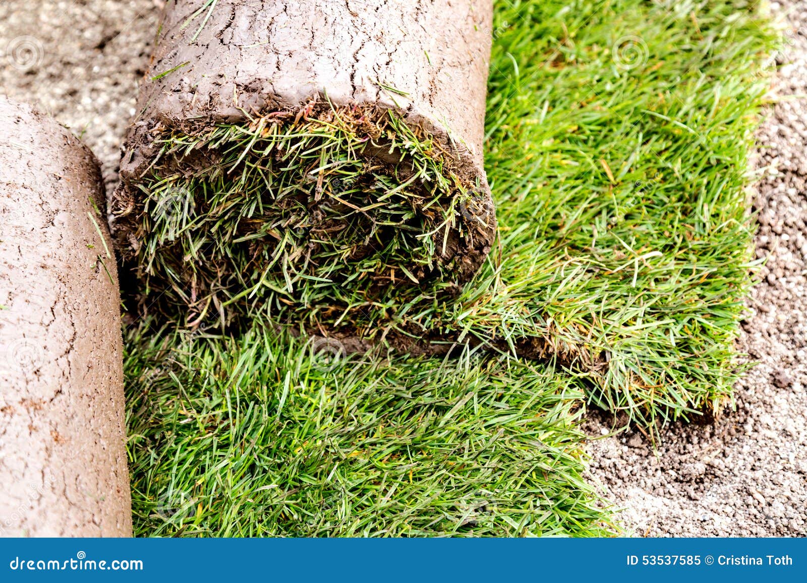 Fresh rolled-up grass turf stock image. Image of green - 53537585