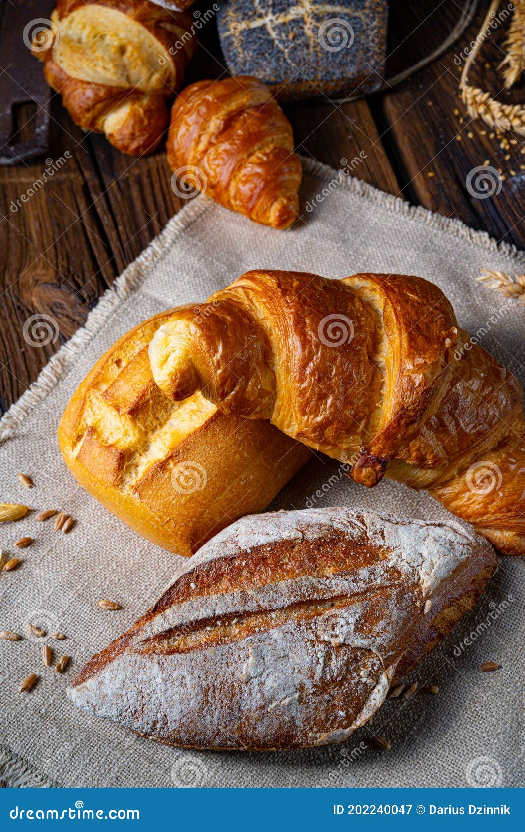 Fresh Rolls in a Cornucopia Stock Image - Image of rolls, cereal: 202240047
