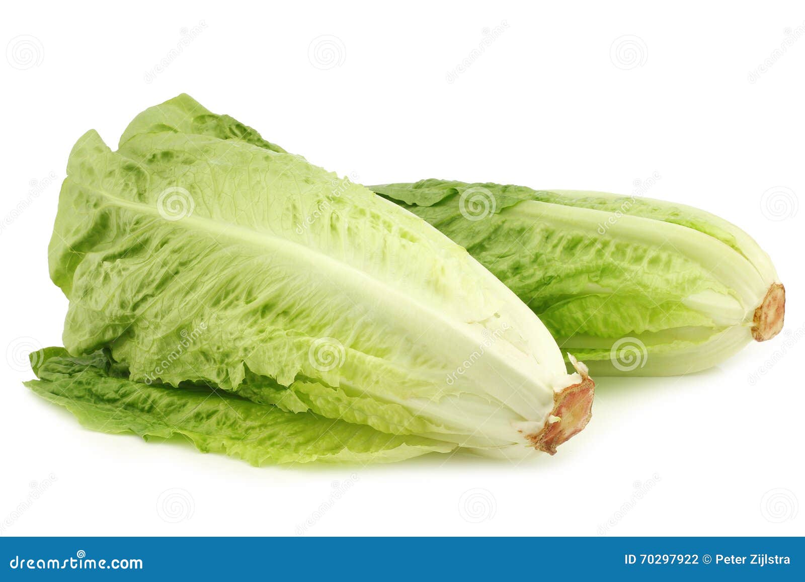 Fresh roman lettuce stock photo. Image of lunch, super - 70297922
