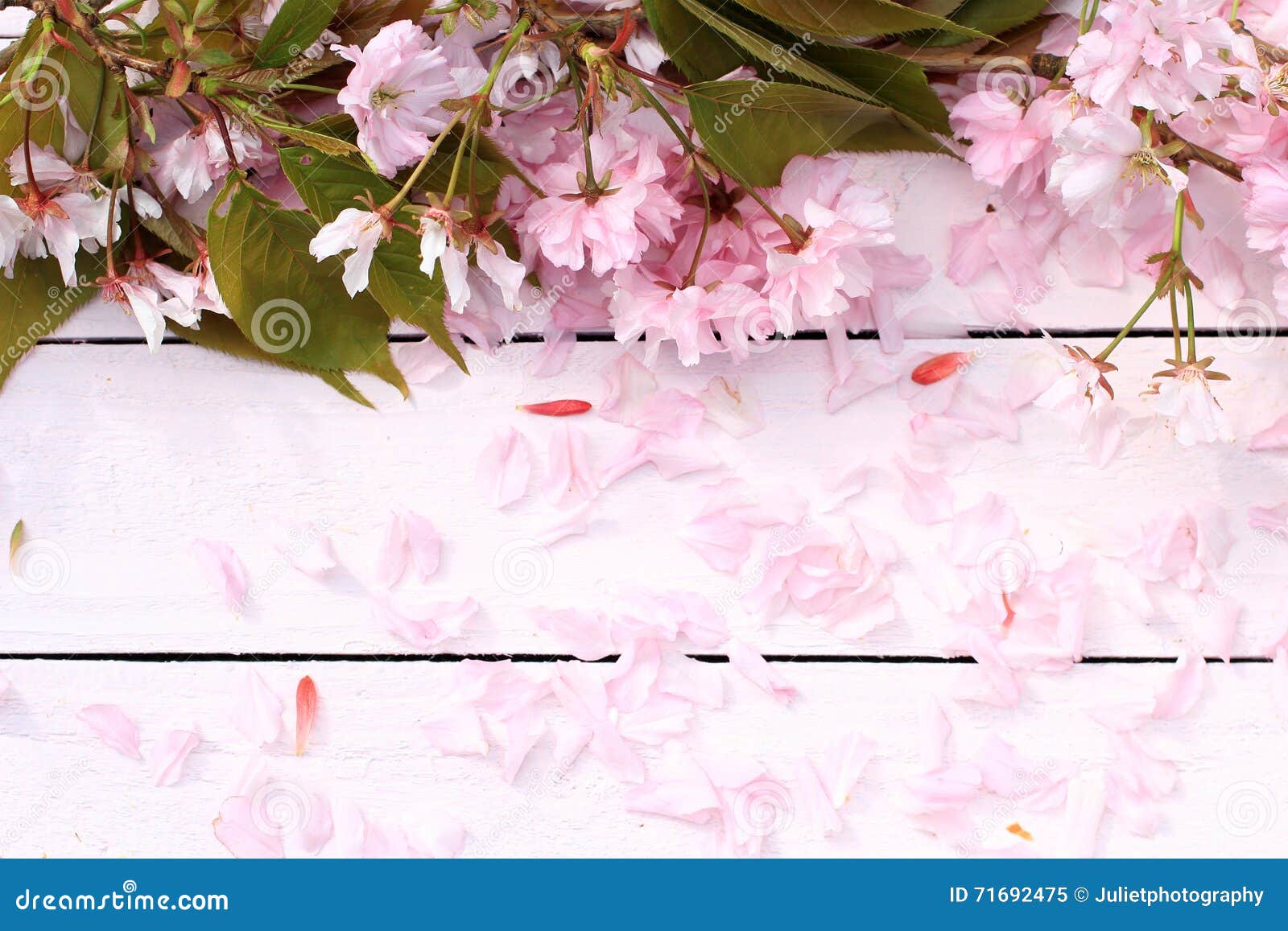 Rustic Spring Nature Backgrounds