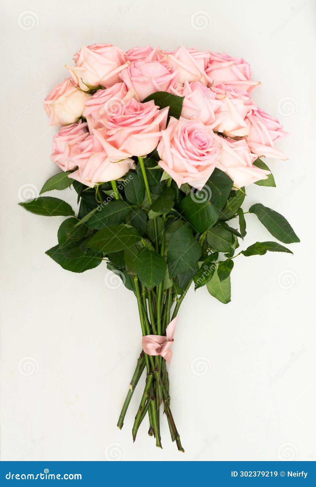 Fresh rose flowers stock image. Image of flat, floral - 302379219