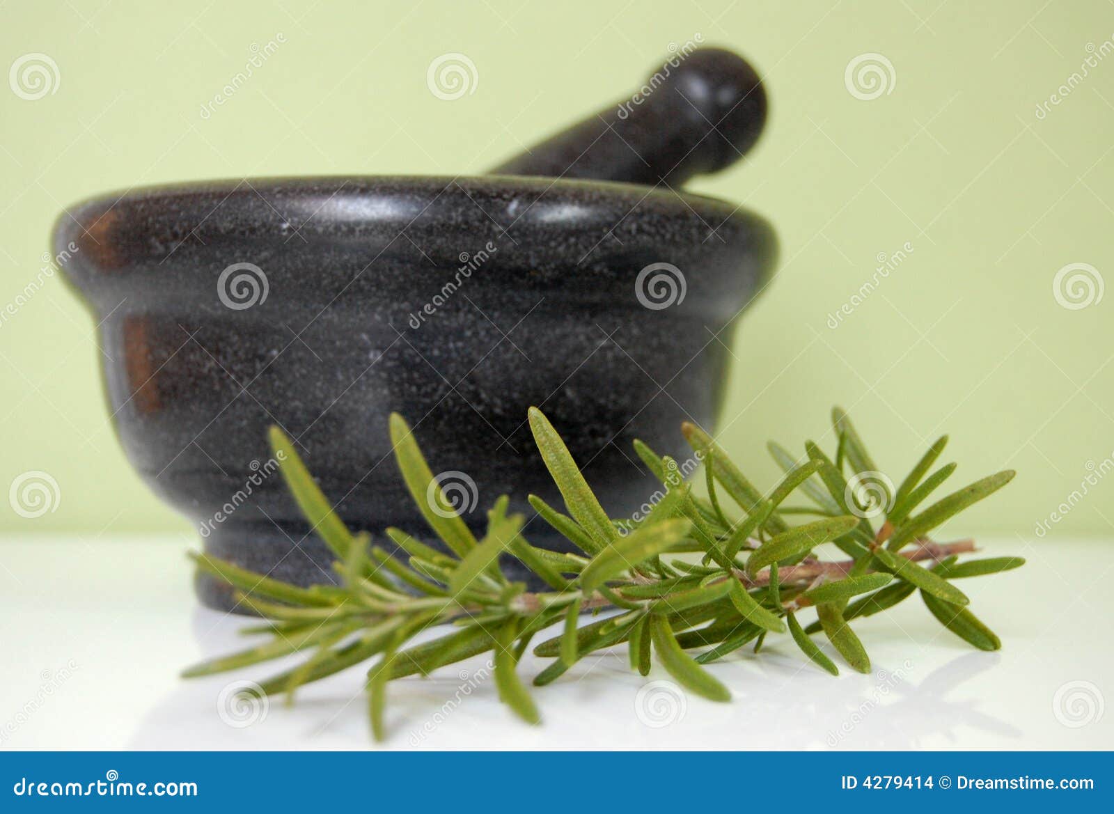 Fresh Rosemary stock photo. Image of detail, pestle, delicious - 4279414