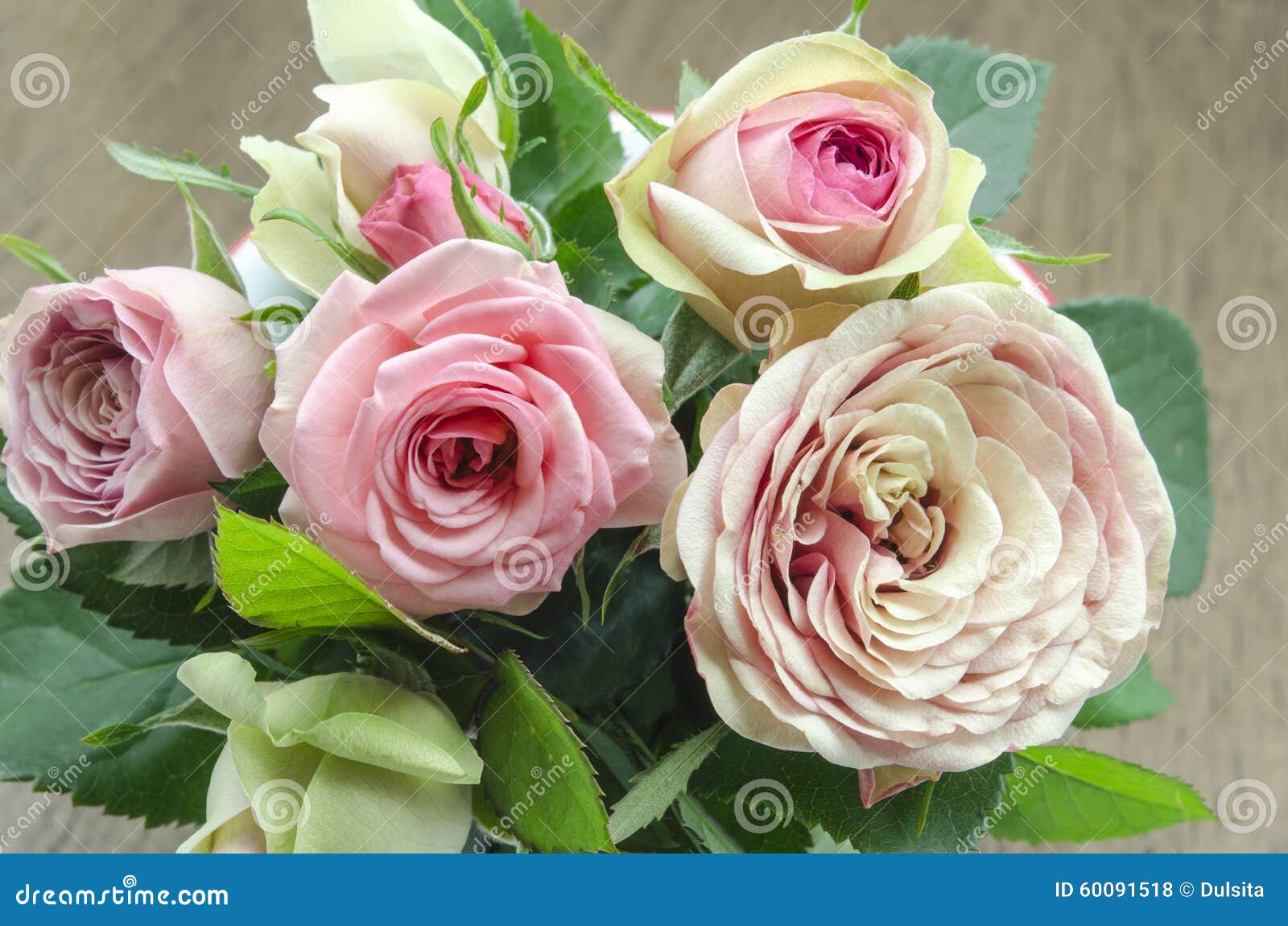 Fresh roses stock photo. Image of fresh, floral, aromatic - 60091518