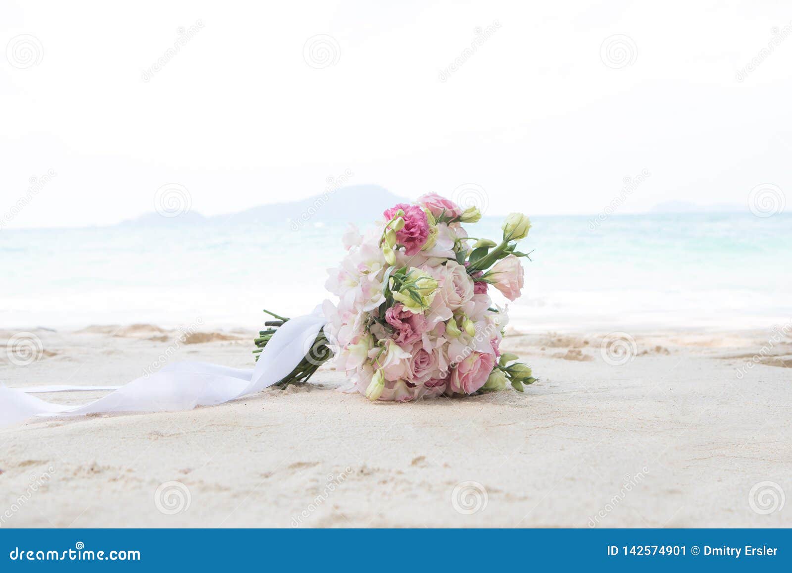 Fresh Roses on Tropic Sandy Beach Stock Image - Image of fragile, bulb ...