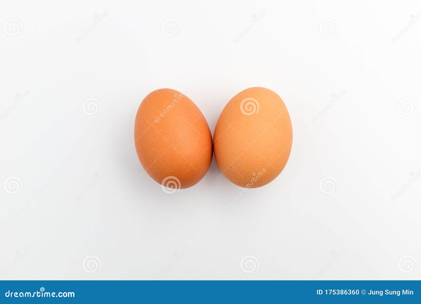 Fresh Round Eggs. High Quality Egg Stock Photo - Image of animal, fresh ...