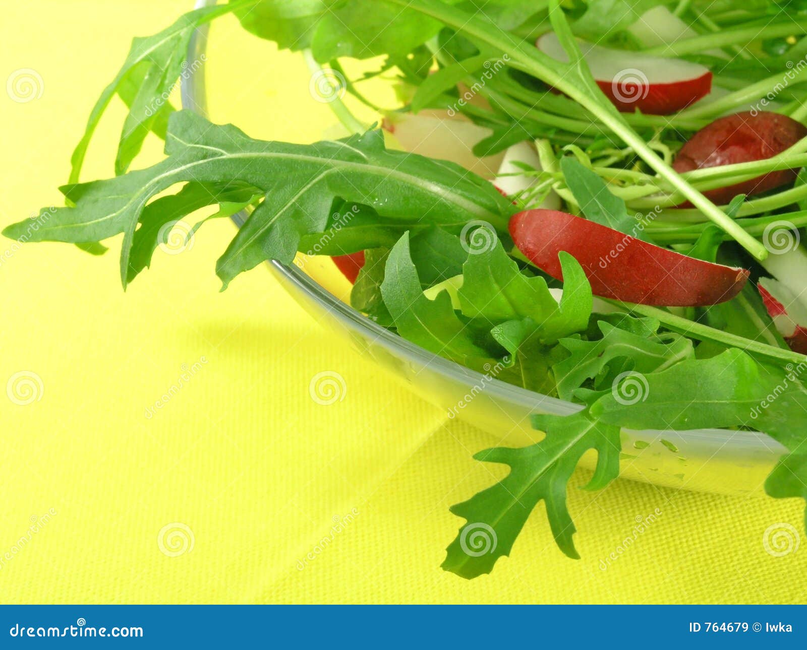 Fresh rucola stock image. Image of rucola, arugula, salad - 764679