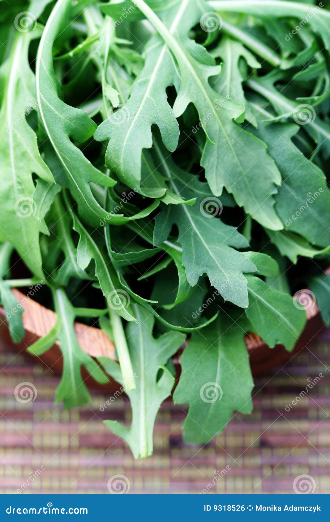 Fresh rucola stock photo. Image of herb, nature, seasoning - 9318526
