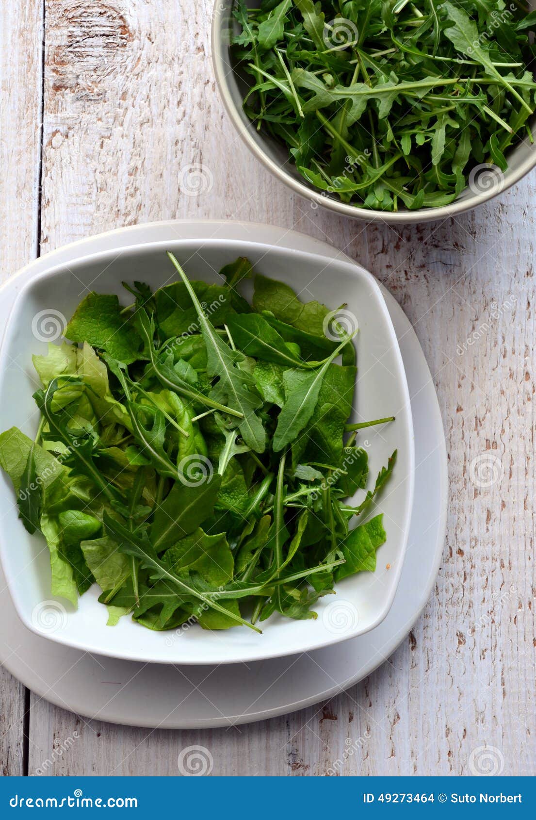 Fresh rucola stock photo. Image of lettuce, plant, meal - 49273464