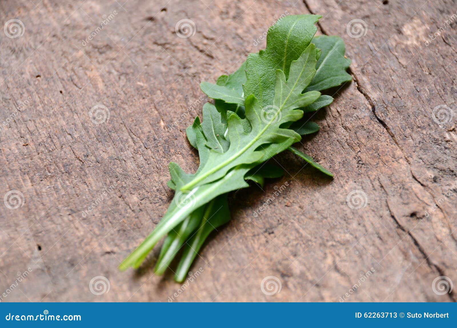 Fresh rucola stock image. Image of arugula, fresh, dieting - 62263713