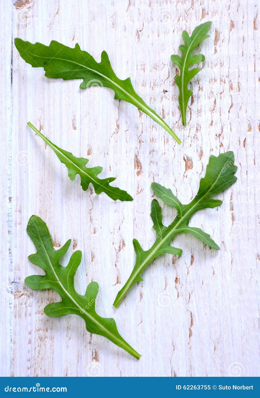 Fresh rucola stock image. Image of rucola, lettuce, healthy - 62263755