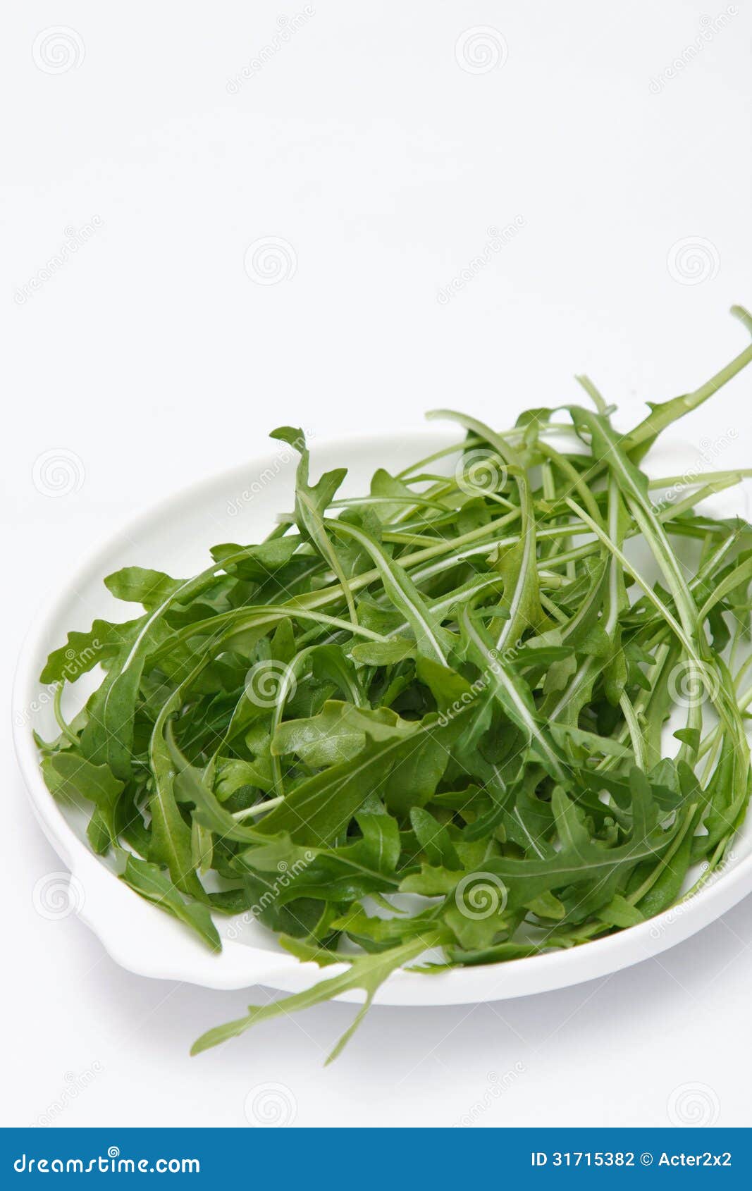Fresh rucola stock photo. Image of diet, freshness, grass - 31715382