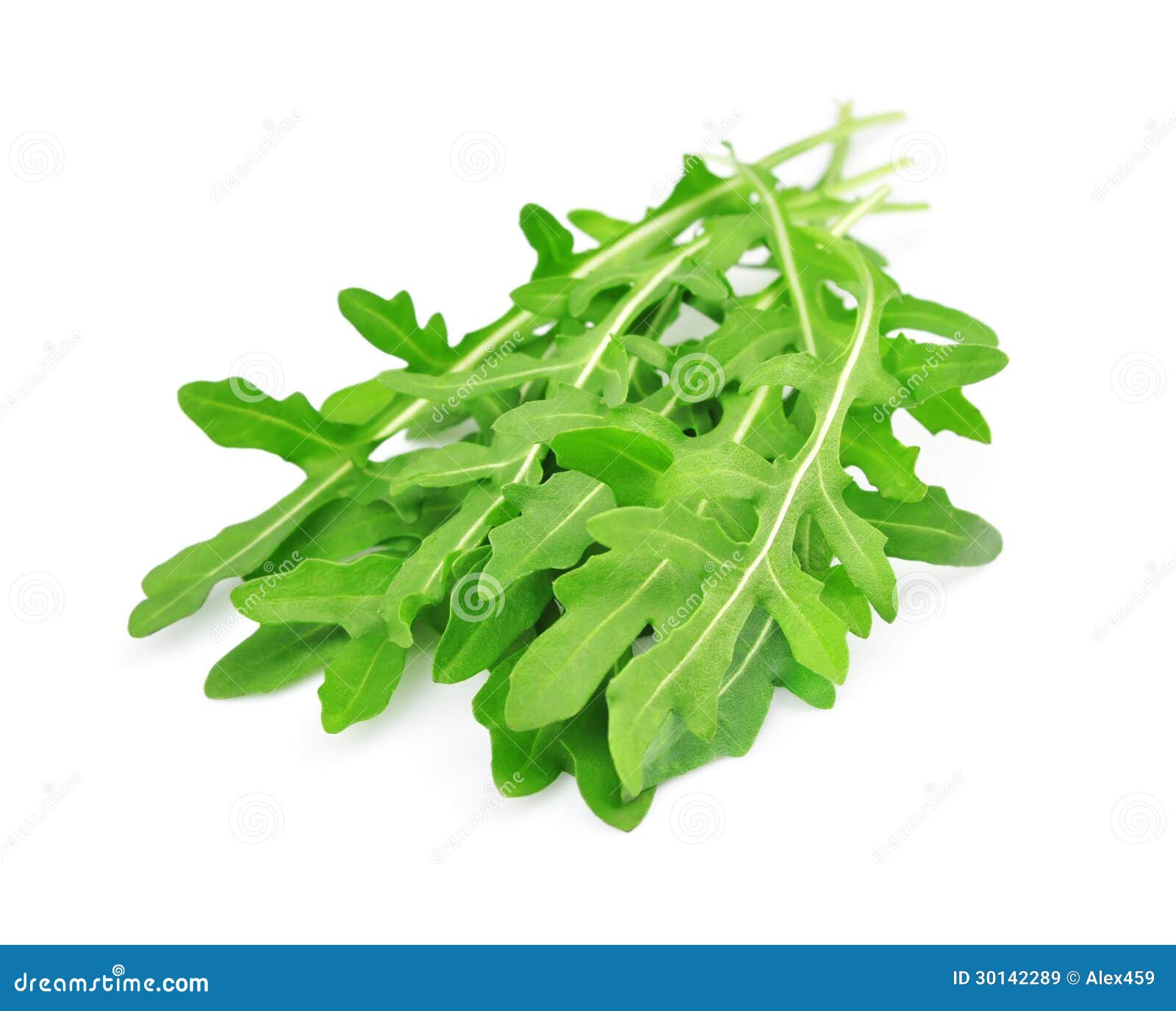 Fresh rucola leaves stock image. Image of leaves, vegetarian - 30142289