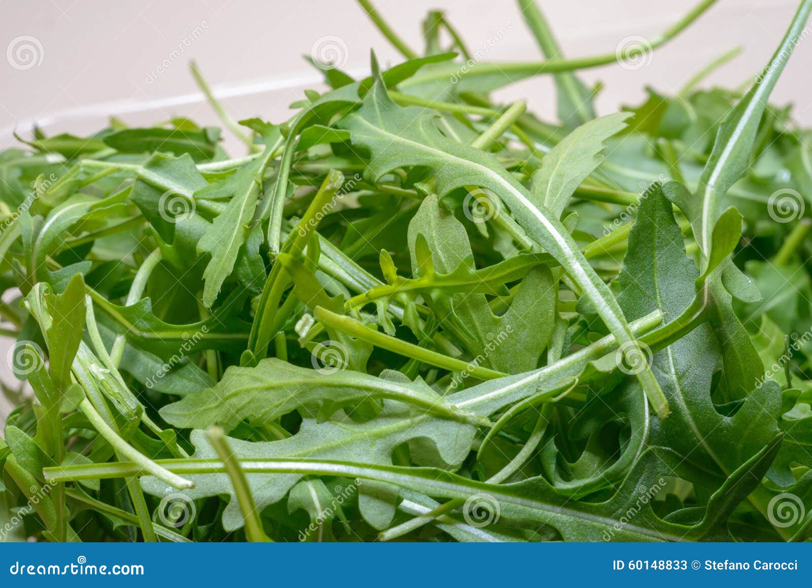 Fresh Rucola stock image. Image of rucola, rughetta, organic - 60148833