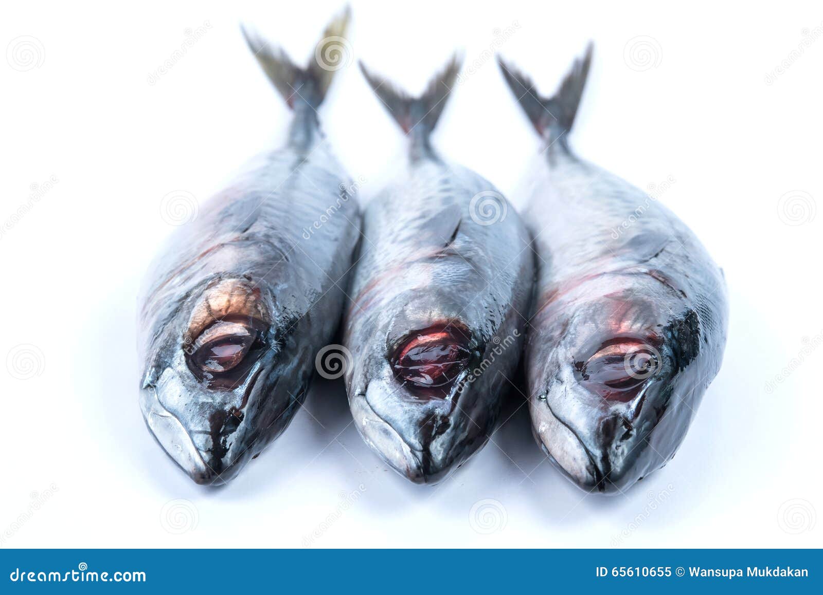 Fresh saba fish stock image. Image of fresh, gourmet - 65610655