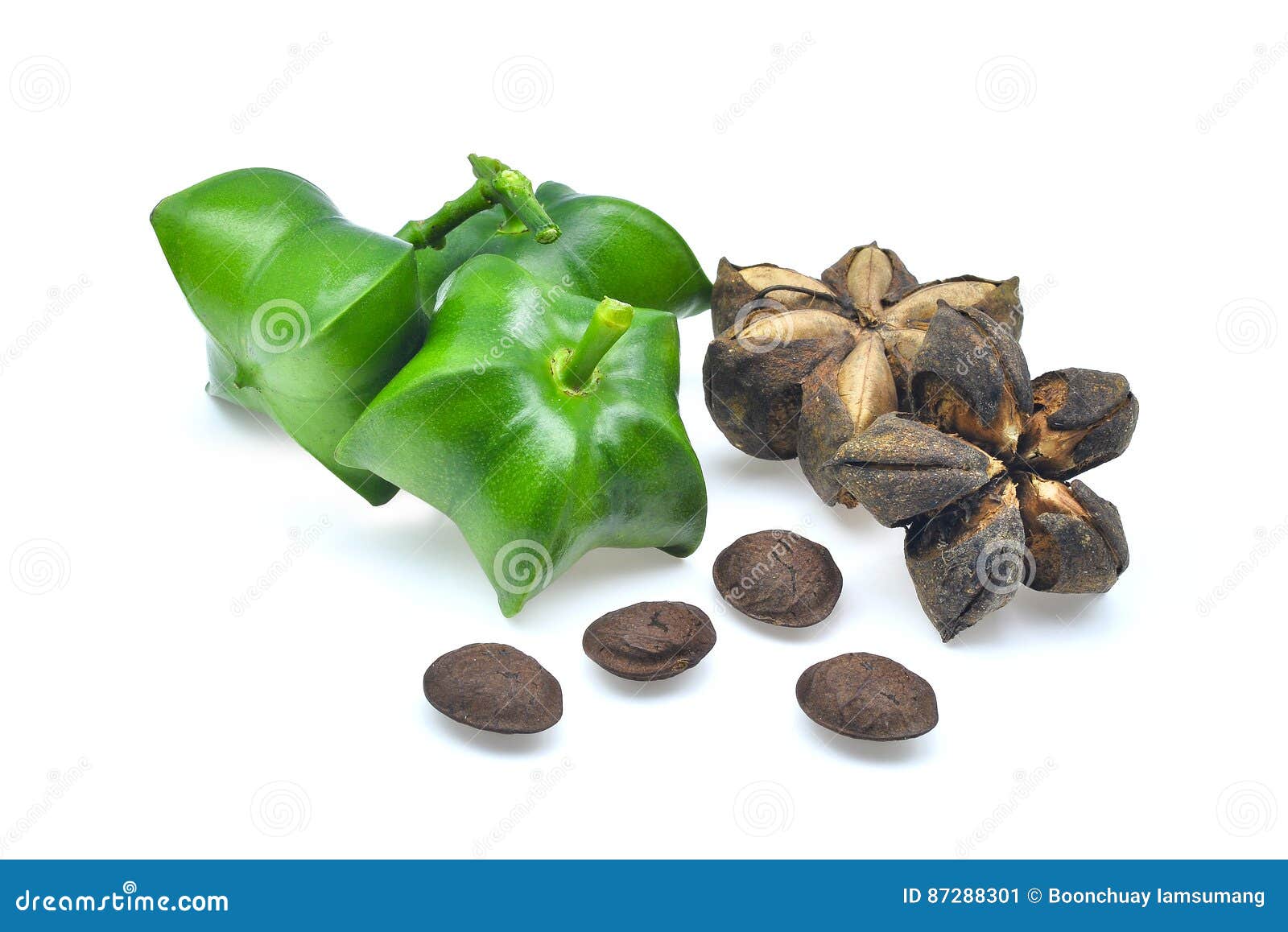 Fresh Sacha Inchi Isolated on White Stock Image - Image of garden ...