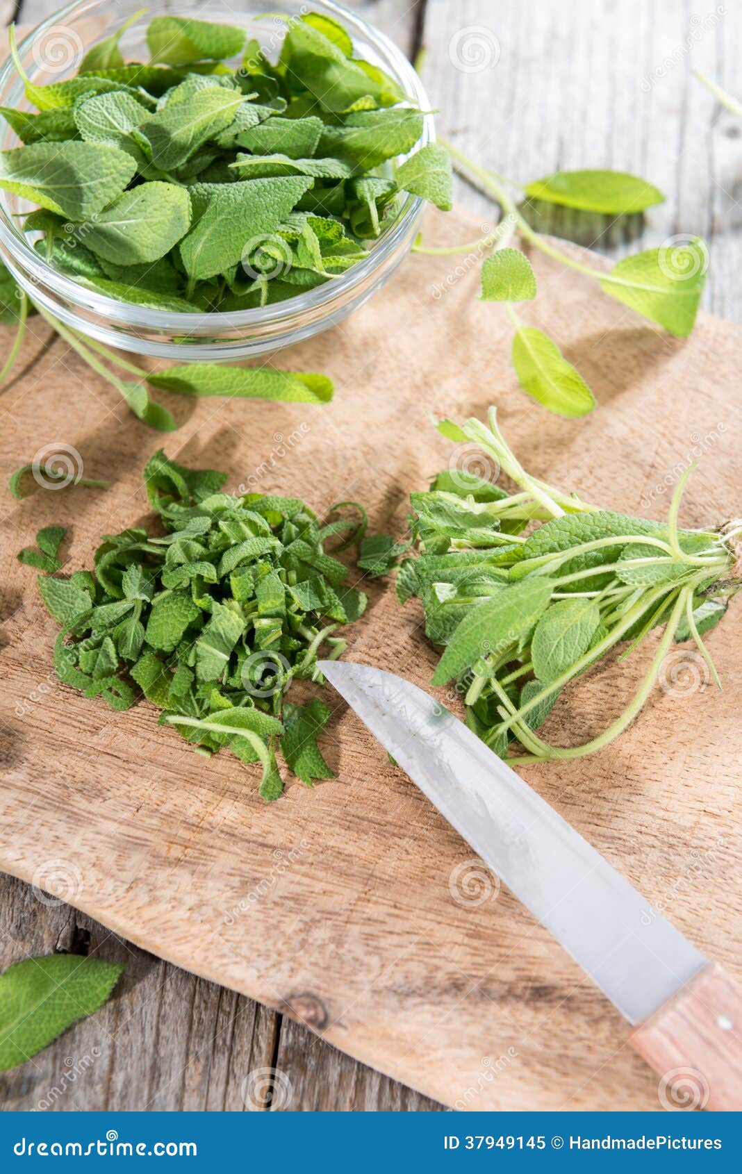 Fresh Sage stock image. Image of green, seasoning, fresh - 37949145